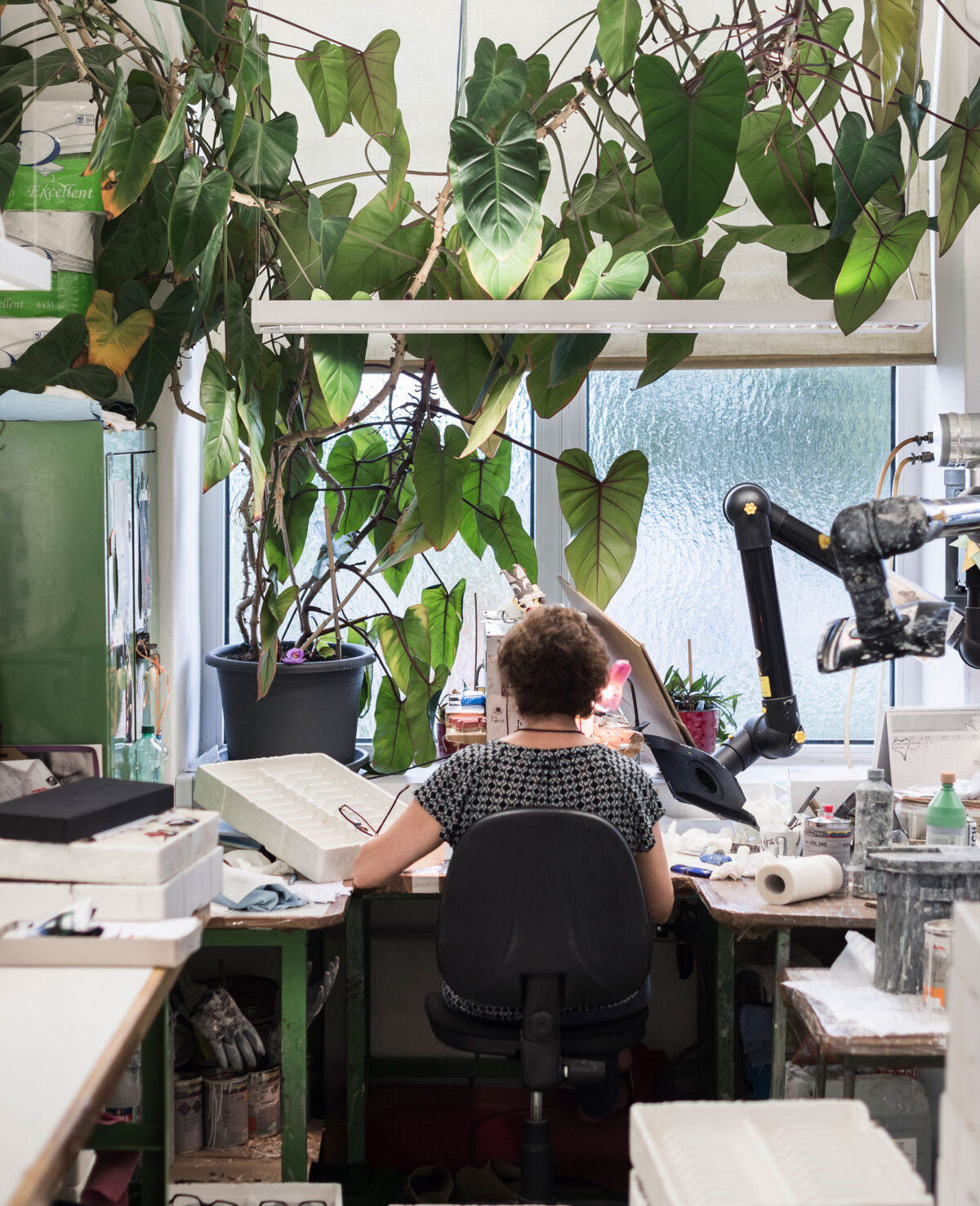 About Us - Andy Wolf Eyewear