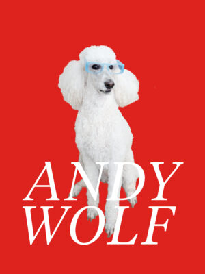 Startpage - Andy Wolf Eyewear